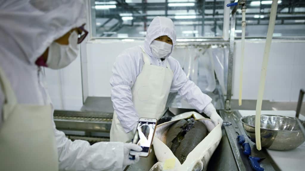 China’s Caviar: The Rising Reign in the Culinary World | Breaking Asia