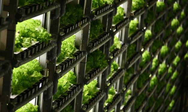 Sustainable Agriculture: Vertical Farming Takes off in Aging Japan ...